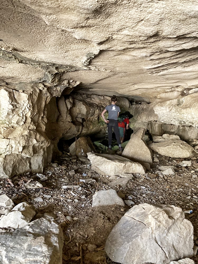 Spelunking for beginners. Inside Wolf Cave, limestone formations create a natural classroom where geology lessons come alive without a textbook in sight.