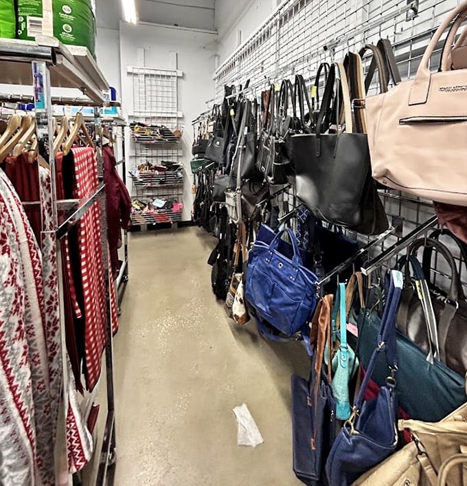 Handbag heaven! Designer dreams and practical purses hanging like fashionable fruit, ripe for the picking at prices that won't break the bank.