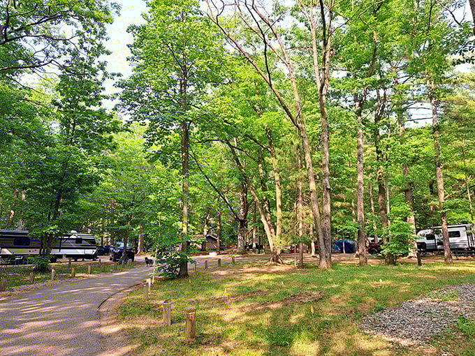 Nature's neighborhood, where campsites nestle among towering trees and morning coffee tastes infinitely better.