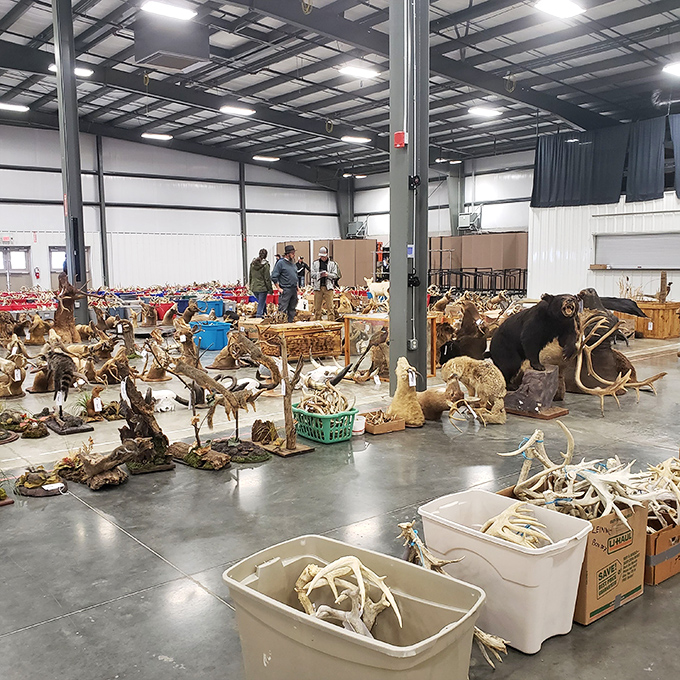 The Mount Hope Auction isn't your typical shopping experience. One person's antlers become another's rustic chandelier in this treasure trove of the unexpected.