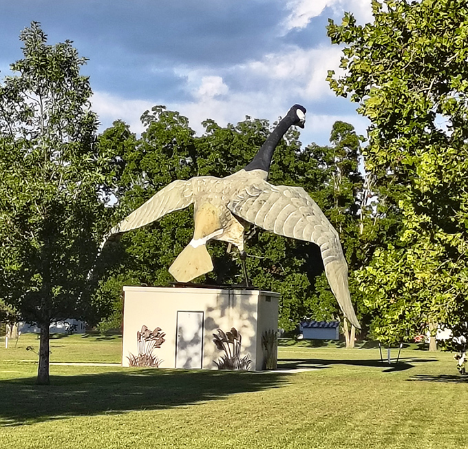 From this angle, Maxie appears ready for takeoff&mdash;a terrifying thought if you consider the wingspan of a 40-foot goose in actual flight.
