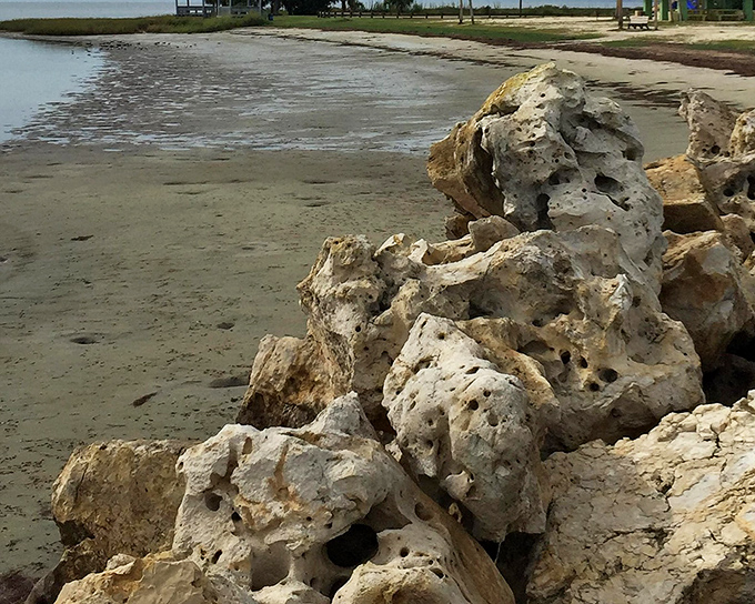 Rocky guardians of the shoreline stand watch like nature's own art installation. No admission fee required for this gallery.