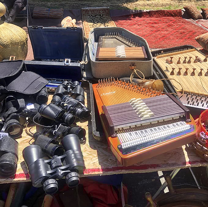 From binoculars to zithers, this table offers both ways to see the world and instruments to serenade it&mdash;analog treasures in our digital age.