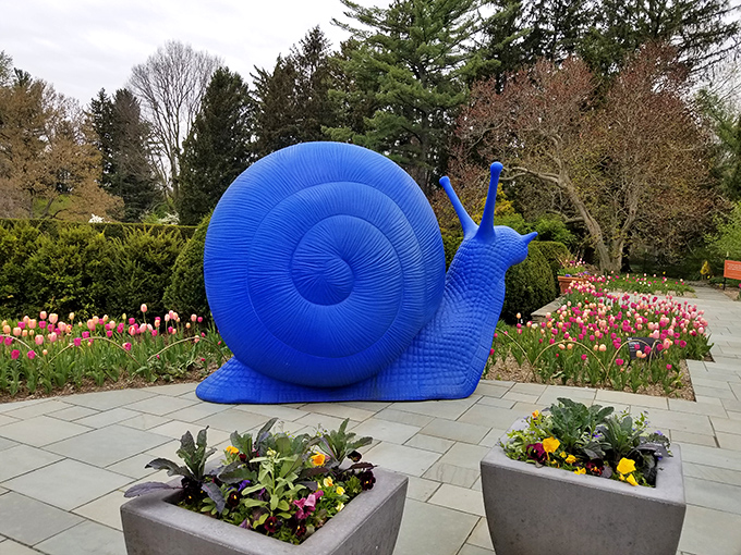 The world's most unhurried art installation. This vibrant blue snail brings whimsical charm to the garden, surrounded by spring's colorful blooms.