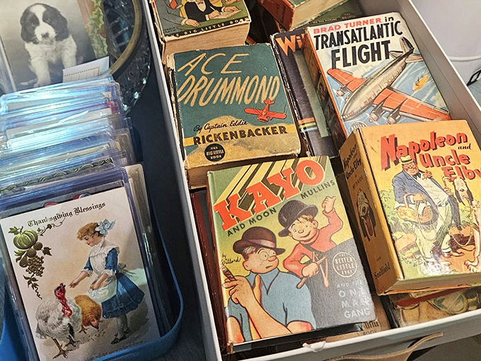 Vintage books with titles like "Ace Drummond" and "Transatlantic Flight" &ndash; adventure stories from when flying was still magical.