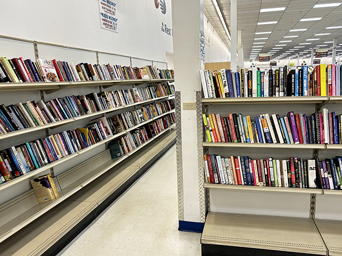 Books stretching toward infinity &ndash; each spine holding stories that cost less than your morning coffee.