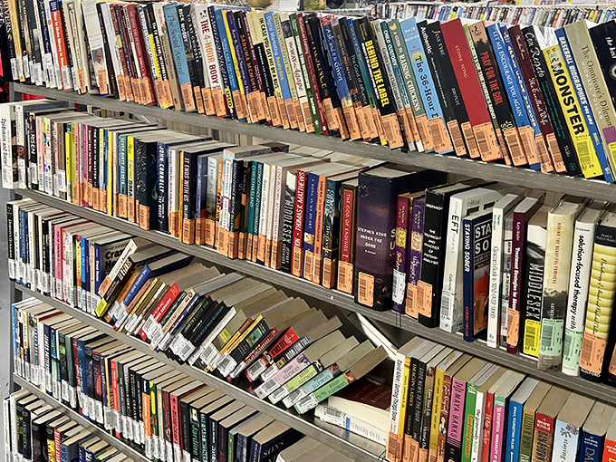 Literary adventures line the shelves at prices that won't break the bank or your reading budget.