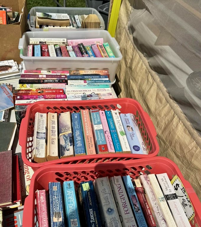 Used books stacked like literary layer cakes, each spine a doorway to worlds unknown. At these prices, you can afford to be adventurous.