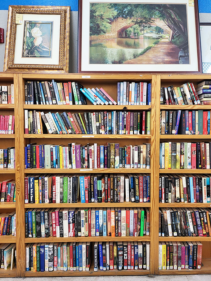 The literary buffet where bestsellers mingle with obscure titles. For a dollar or two, you're taking home someone else's adventure.
