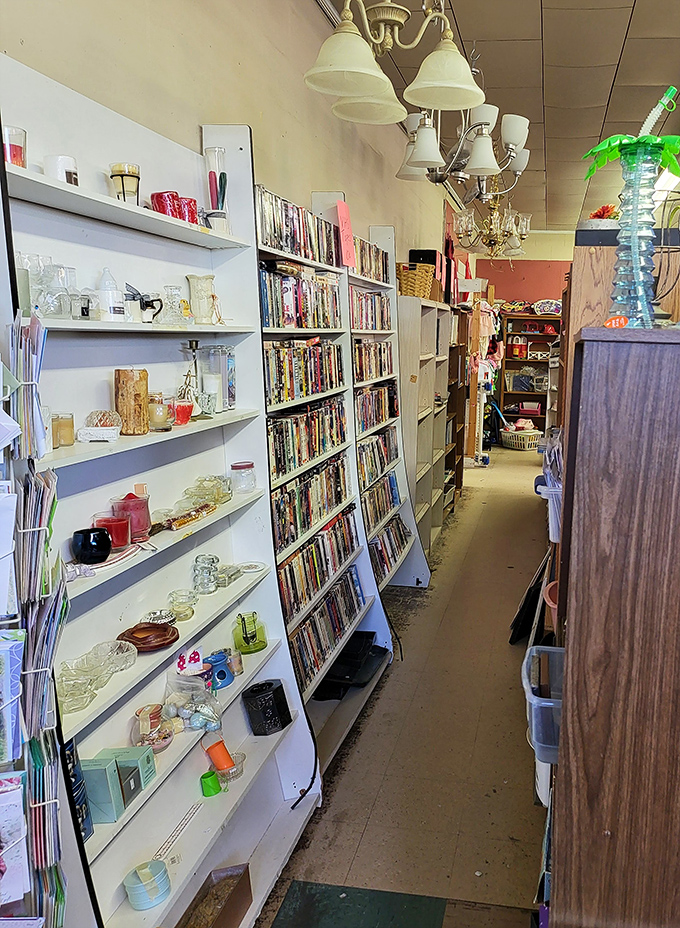 The book aisle &ndash; where literary treasures and forgotten bestsellers create the world's most democratic library. That chandelier overhead? Just bonus ambiance.