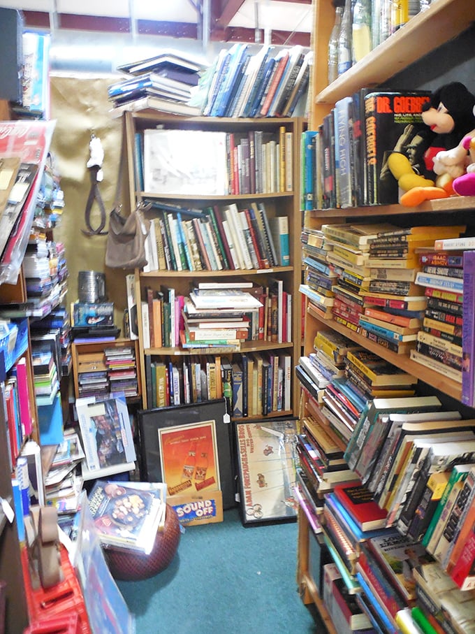 The book nook &ndash; where literary treasures and forgotten bestsellers create narrow canyons of knowledge that bibliophiles could get lost in for hours.