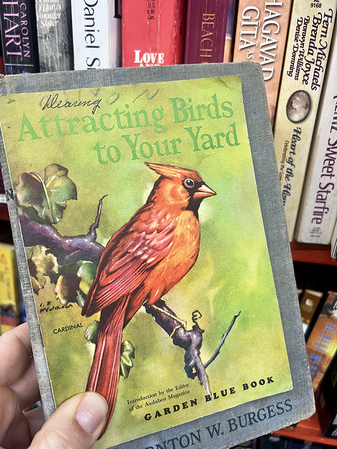 Books that have outlived their authors, waiting for new hands to turn their pages. This bird guide might lead you to treasures of a different kind.