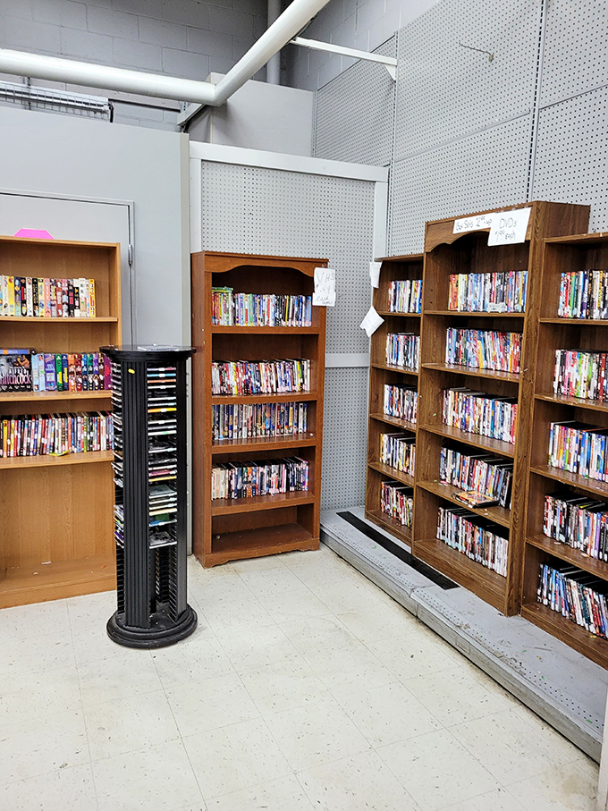Media collections organized neatly because even thrift stores appreciate the value of not creating chaos.