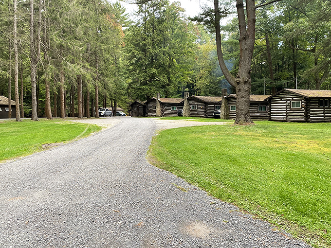 These historic log cabins weren't built for Instagram, but they sure deserve it. Rustic accommodations that make hotel mini-bars seem ridiculous. 