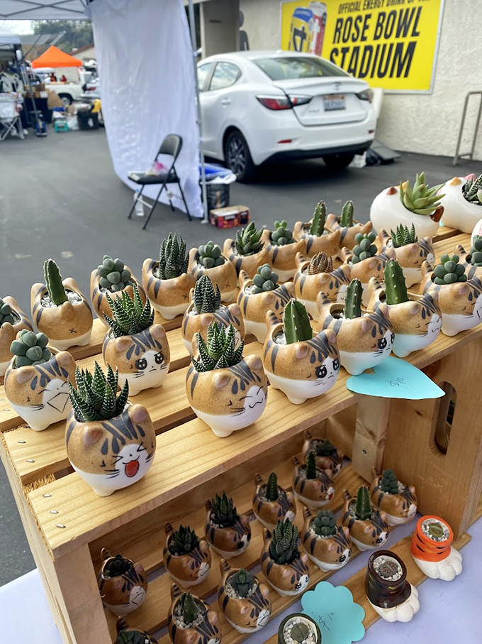 These adorable cat-shaped succulent planters prove that even plant parenthood can be turned into an Instagram-worthy moment at the Rose Bowl.