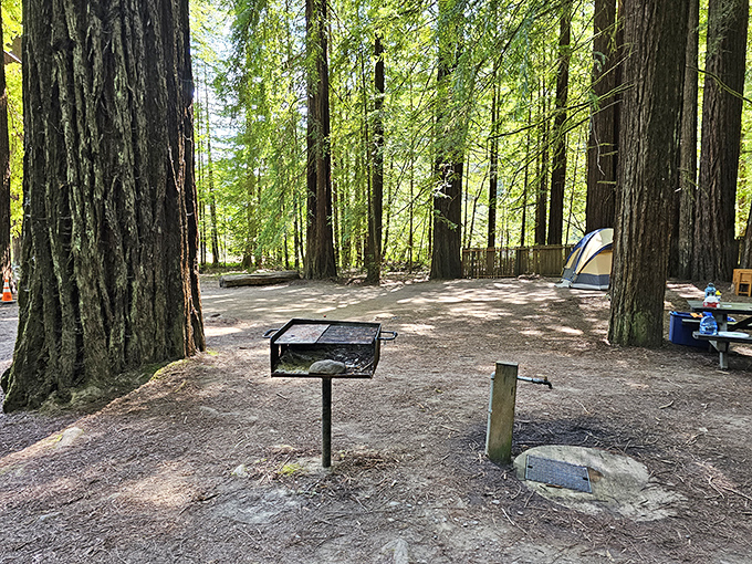 Camping among the redwoods&mdash;where your "room" comes with a cathedral ceiling that's been growing skyward for centuries.