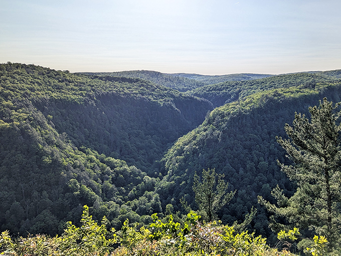 The Pennsylvania Grand Canyon unfolds in waves of green, a geological masterpiece 800 feet deep and millions of years in the making.