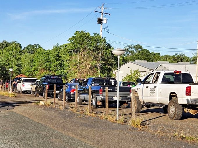 The entrance line&mdash;a parade of anticipation where vehicles become temporary living rooms and everyone arrives with the same hopeful expression.