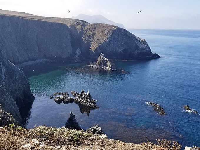 Cathedral Cove's turquoise waters make you wonder why anyone bothers with swimming pools anymore.