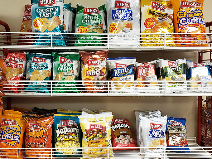 Even the chip selection shows thoughtful curation. Because after dairy perfection, sometimes you need a salty counterpoint to reset your taste buds.