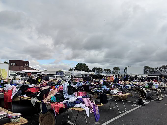 The clothing section transforms into a textile ocean on cloudy days, with waves of fabrics waiting to be discovered by savvy shoppers.
