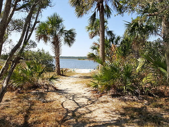 Paradise pathway: Palm trees stand sentinel along this sandy trail leading to waterfront views that'll make your social media followers green with envy.