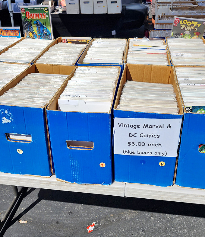 Comic book boxes: where childhood nostalgia meets adult investment strategy. That $3 Batman issue might just fund your retirement... or at least your next flea market trip.