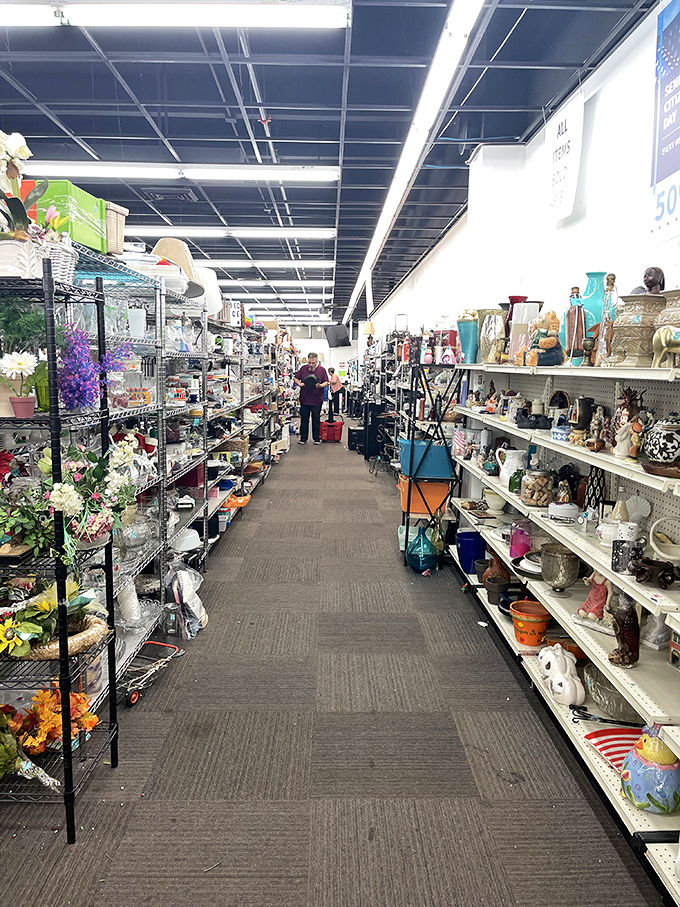 Aisle after aisle of potential discoveries. One person's "I don't need this anymore" becomes another's "I can't believe I found this!"