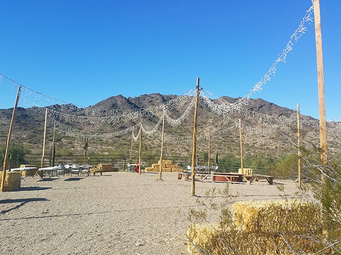 Desert party central! Those string lights aren't just for show &ndash; they're nature's way of saying "the festivities continue even after the sun goes down."