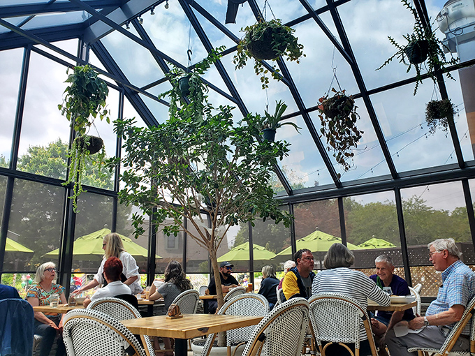 The greenhouse dining area bathes guests in natural light, making it the perfect spot to contemplate life's big questions, like "Should I order dessert?"