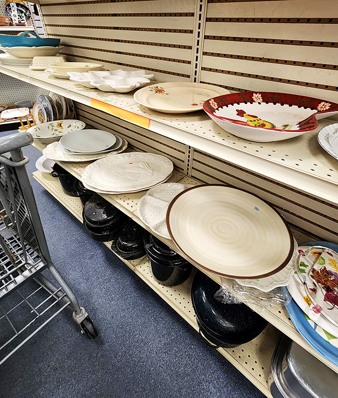 Plate paradise! From everyday dinnerware to special occasion serving pieces, these shelves hold the missing pieces to your kitchen collection.