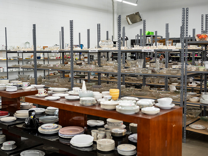 Dish department dreams come true with endless possibilities for mismatched charm or that one perfect replacement for what the dog knocked off the counter.