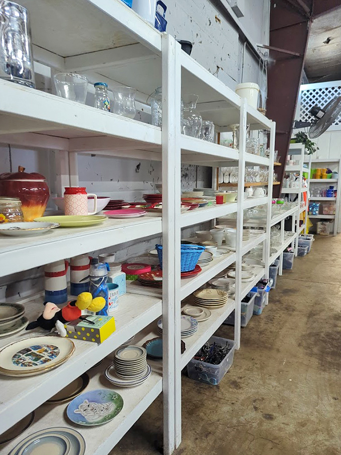 Fine china meets everyday dishes in a ceramic symphony that makes entertaining affordable again for everyone.