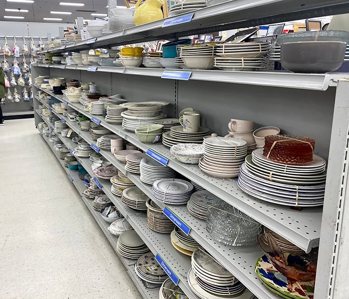 Dish-covery zone! From everyday plates to "the good china," these shelves hold everything needed to set a table worthy of your grandmother's approval.