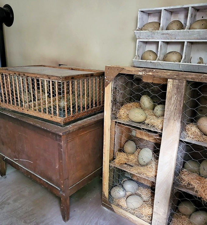 Dinosaur eggs carefully preserved in rustic incubators &ndash; the starting point of the Union Army's ill-fated prehistoric weapon program.
