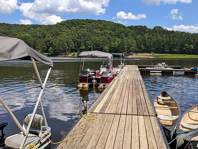 Summer dreams are launched from wooden docks like this one, where boats wait patiently for their next adventure.
