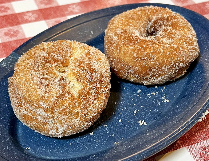 Sugar-dusted donuts that don't need fancy glazes or artisanal descriptions. Sometimes perfection is simple: just hot, fresh dough meeting sugar in a sweet embrace.