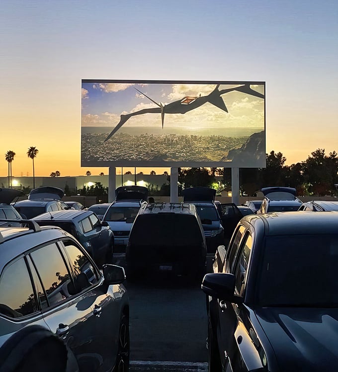 That perfect moment when the screen comes alive against the sunset, and suddenly your windshield becomes a portal to adventure.