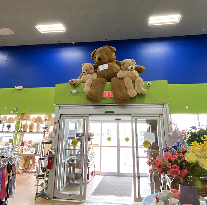 Stuffed animals stand guard above the exit, a fuzzy farewell committee bidding shoppers adieu until their next treasure hunt.