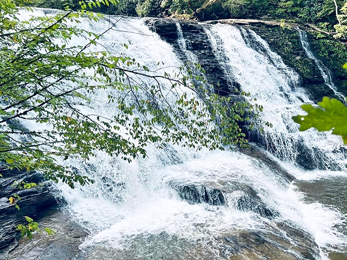 Cane Creek Cascades tumbles over rock shelves like nature's own staircase, creating a hypnotic white noise machine that no app could ever replicate.
