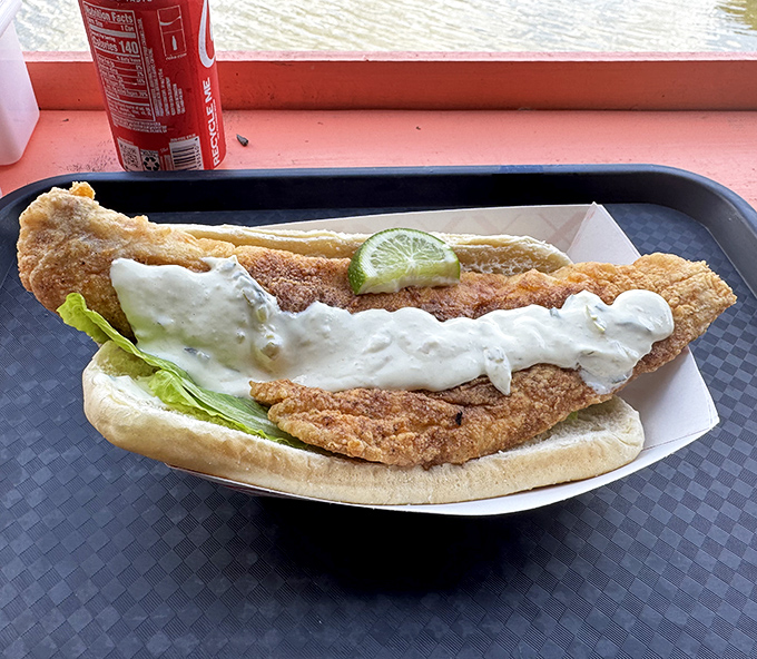 That's not just a fish sandwich&mdash;it's Florida on a bun. The tartar sauce-to-fish ratio is what mathematicians call "the golden mean."