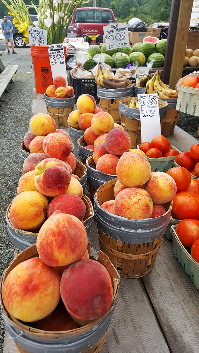 Nature's candy display! These sun-kissed Pennsylvania peaches put supermarket produce to shame&mdash;farm-fresh flavor that's worth the trip alone.