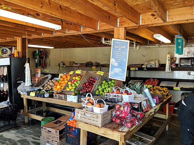 Farm-to-flea-market freshness! This fruit stand offers a healthy counterpoint to the day's treasure hunting, fueling your next round of bargain battles.
