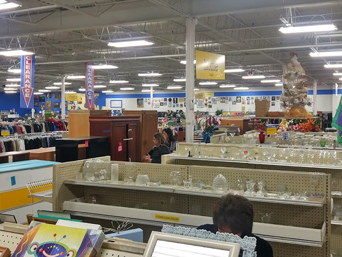 The glassware section gleams with potential dinner party stars. That ornate lamp base is just waiting to illuminate someone's reading nook.