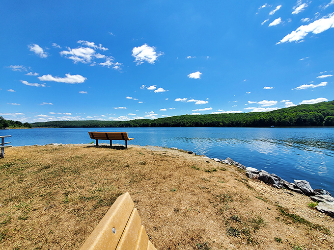 A lone bench invites contemplation by Glendale Lake's shore, where the boundary between sky and water blurs into infinite blue.