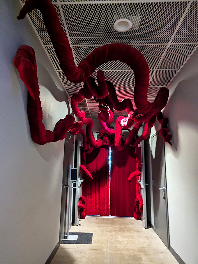 Tentacle-like appendages reach from the ceiling, as if some friendly interdimensional creature is waving hello from above.