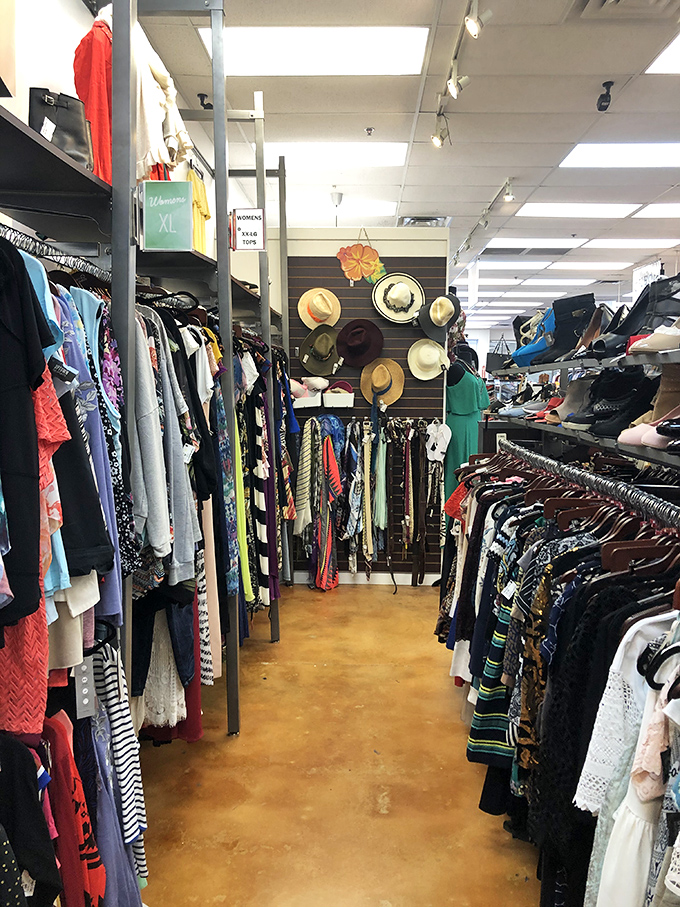 The hat wall offers instant personality upgrades—from beach-ready straws to sophisticated fedoras, all priced for impulse adoption.