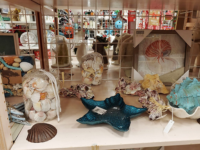 Coastal-themed decor that whispers "Florida living" without shouting "tourist trap." Those shell collections would look perfect in your guest bathroom.