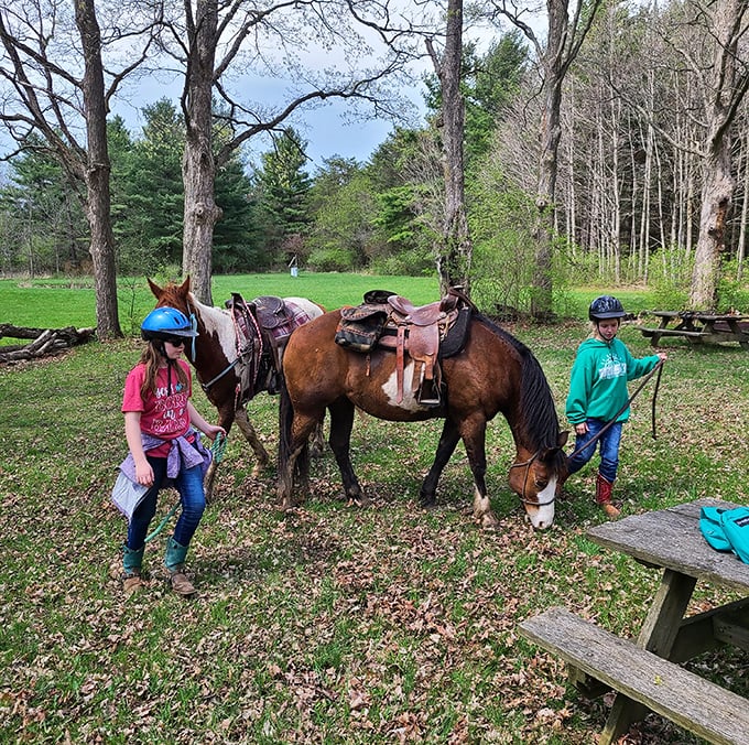 Horseback riding trails offer a different perspective of the park. These four-legged tour guides never rush the experience.