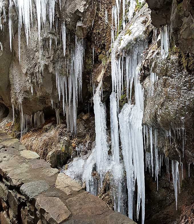 Winter never leaves this corner of the caverns, where icicle-like formations remind us that nature's most spectacular art requires no deadline.